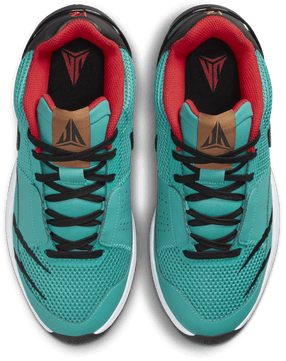 Nike Ja 1 - Review, Deals, Pics of 26 Colorways